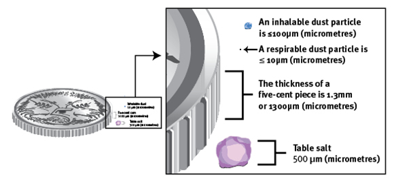 What is Inhalable and Respirable Dust and How can it be Controlled in ...
